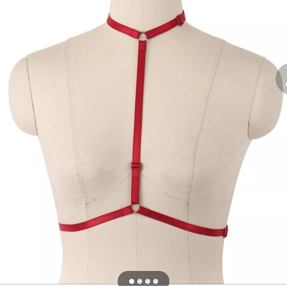 Intimates & Sleepwear | Strapped Couture Bra Harness Accessory | Poshmark
